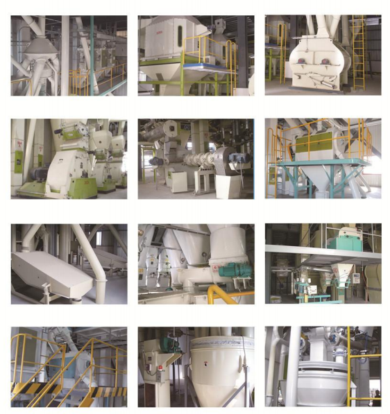 Chicken Feed Mill at YONGLI Factory – Yongli feed pellet machine